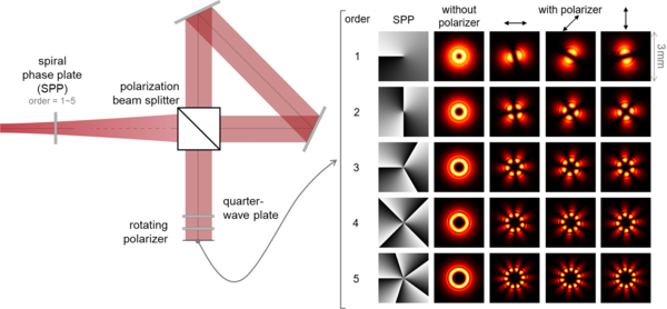 Vector Beam Generation – LightTrans